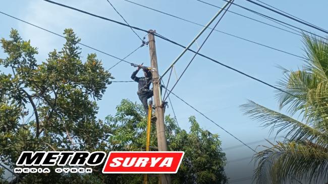 PLN Icon Plus Menata Kabel di Tiang PLN Kota Surabaya Guna Menjaga Keandalan Layanan